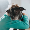 How Pets Can Sense Human Emotions: Fact or Myth?