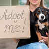 6 Reasons Adopting A Pet Will Change Your Life